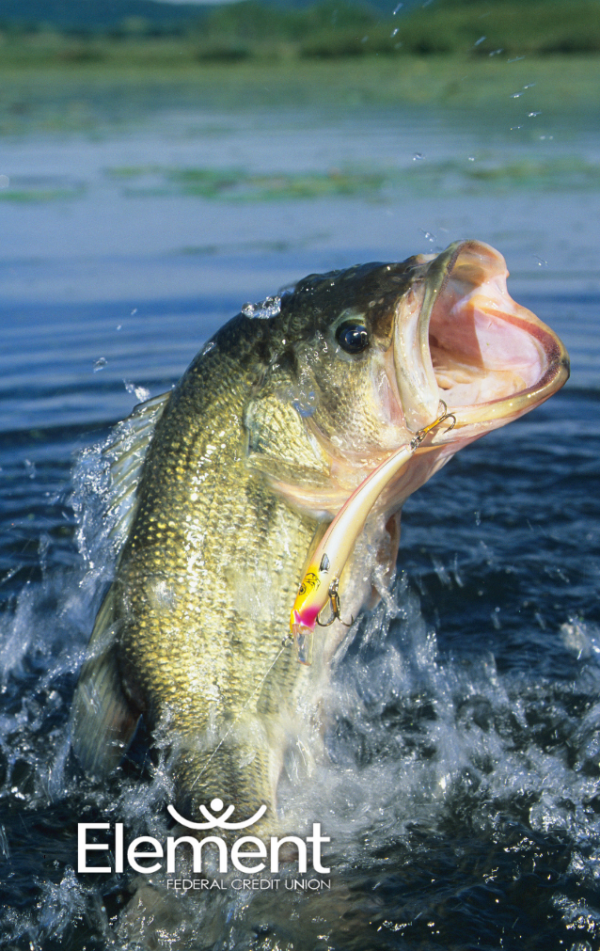 2 Minute Debit Cards - Get Your Debit Card Fast at Element FCU